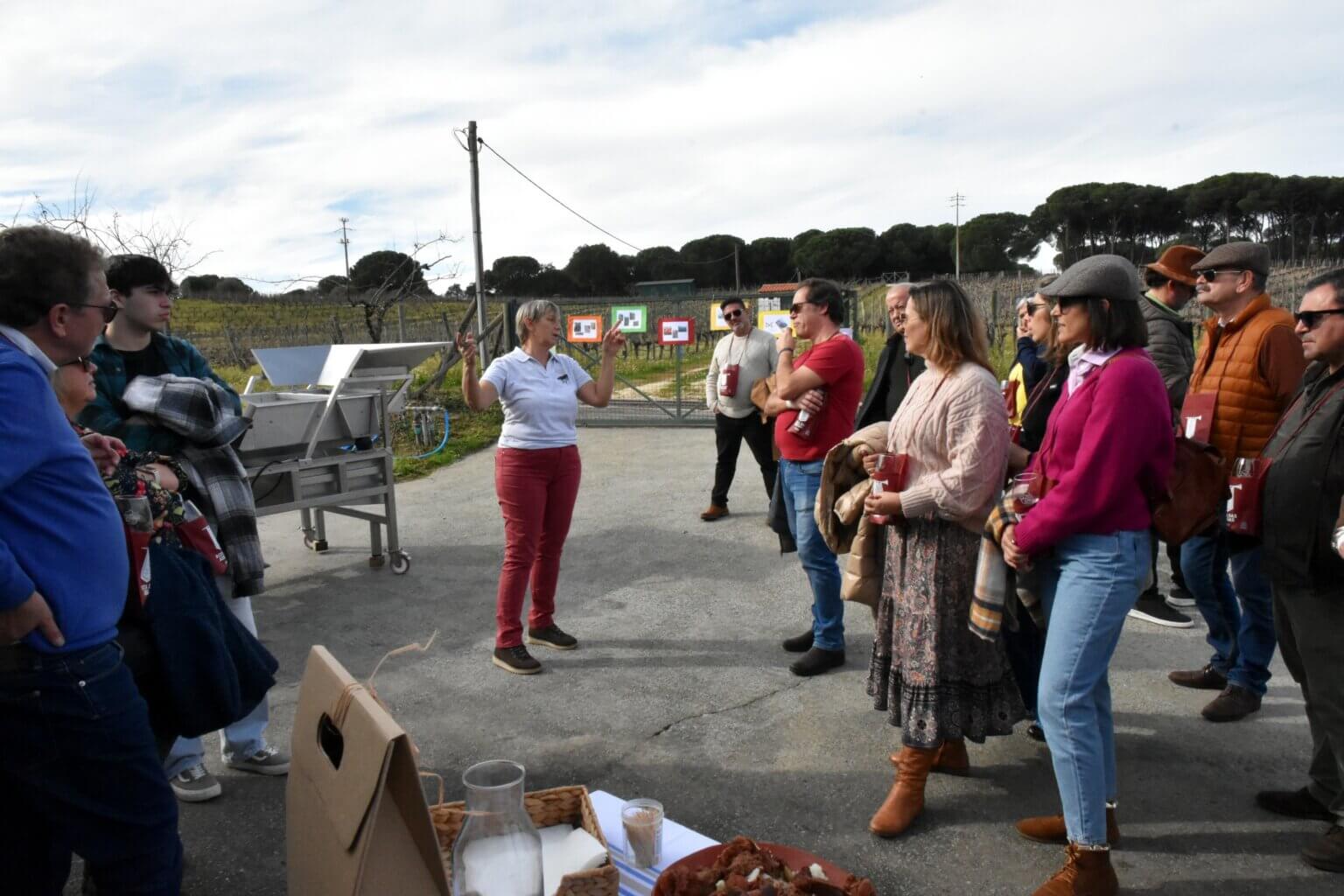 Adega Encosta do Pinhal – VisitMora